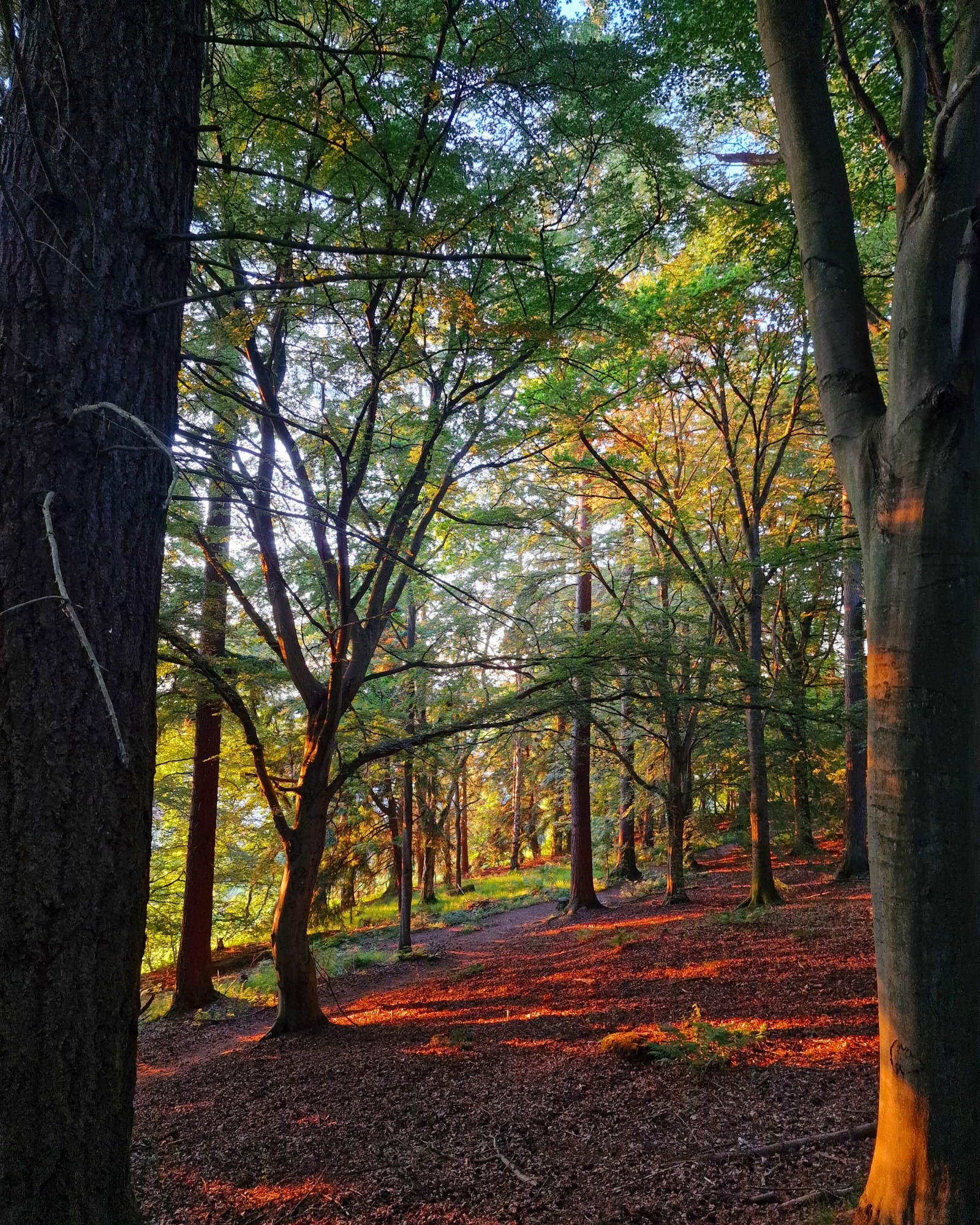 Survivor's Words, Art and Action | RASAC Perth & Kinross